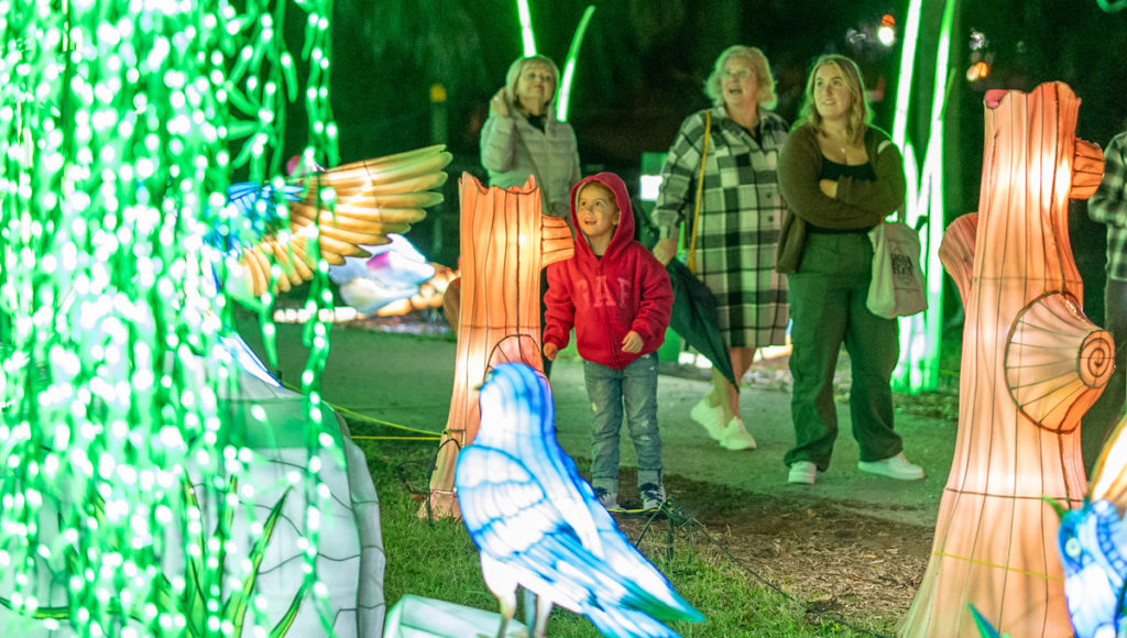 Despide el año con un show visual en el Central Florida Zoo