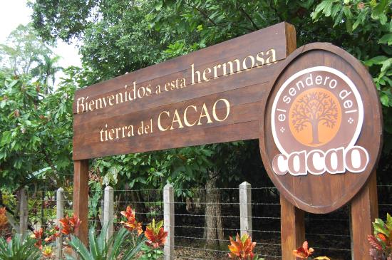 Puerto Plata: Una joya para visitar en República Dominicana - Miami Diario