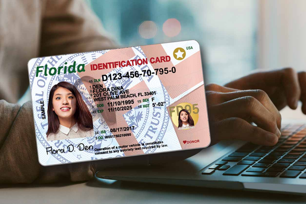 Real ID vs. Licencia mejorada: Para qué sirven y por qué las confunden ...