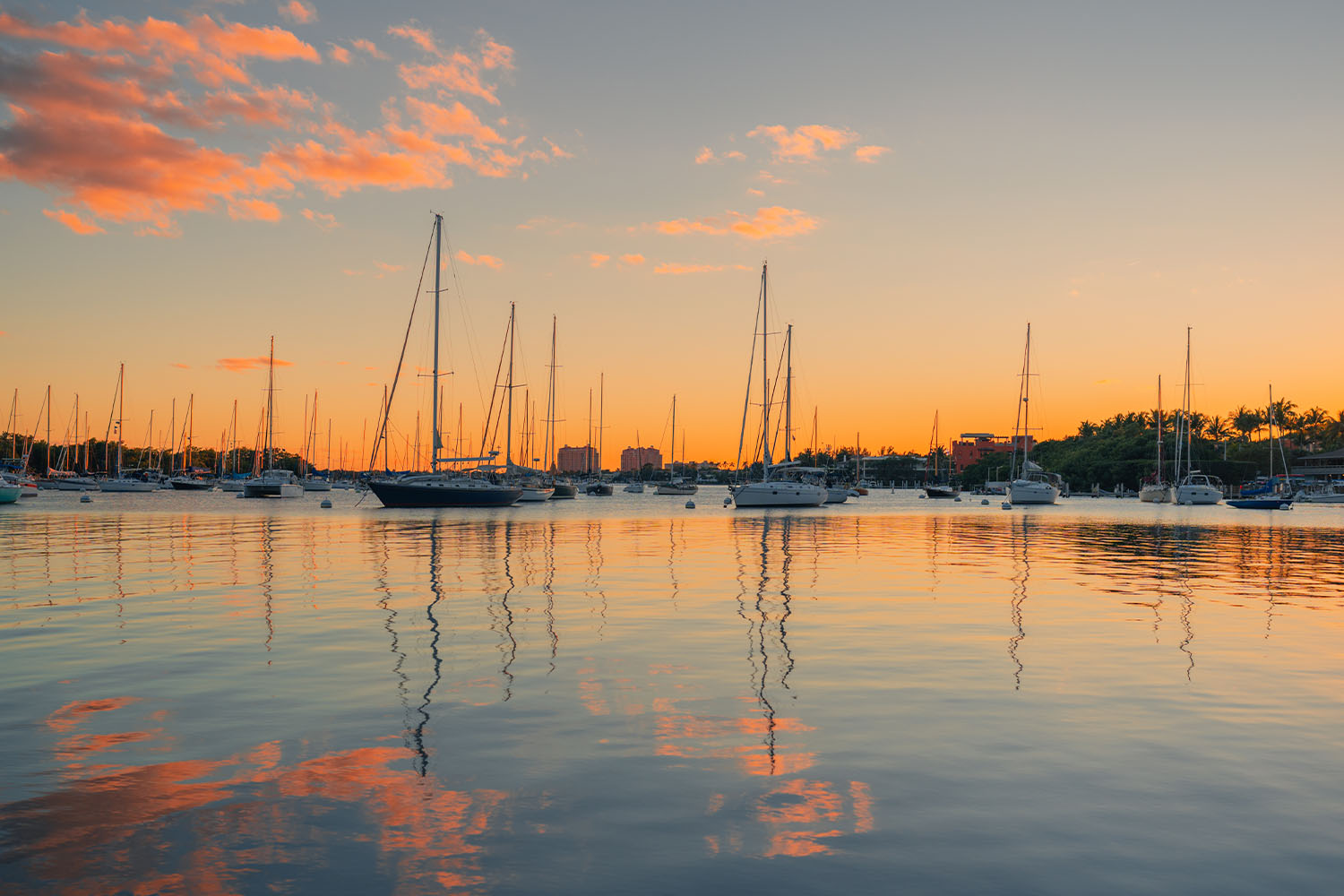 Regatta, el nuevo restaurante de Coconut Grove hecho para "navegantes ...